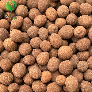 Purelyagro Gbafilo Seeds – Whole Culinary Spice Seeds